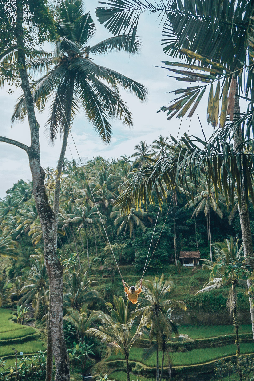 Bali Guide: 13 Things To Do in Ubud - Girl x Departure